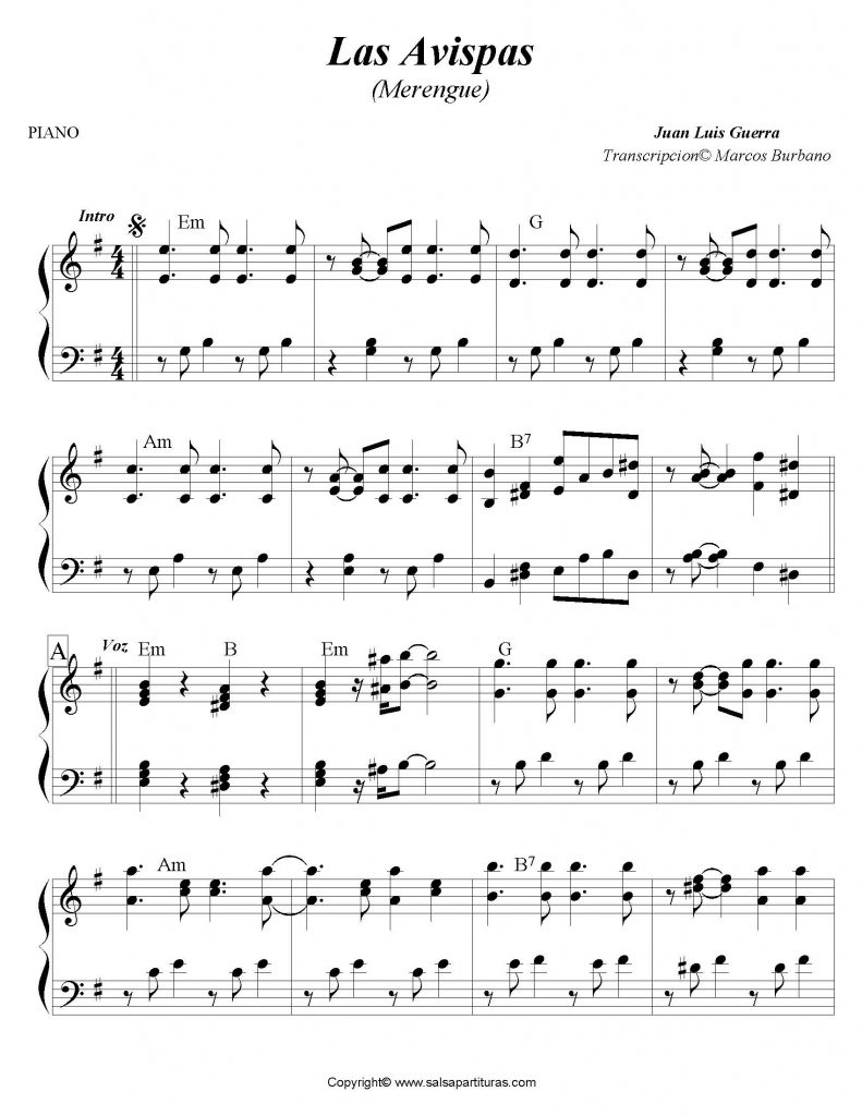 LAS AVISPAS – Marcos Burbano